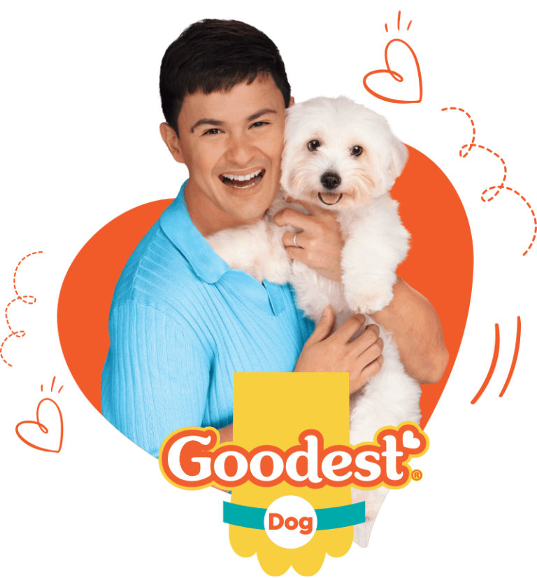 Goodest | Nutritious, Affordable Pet Food for Cats and Dogs