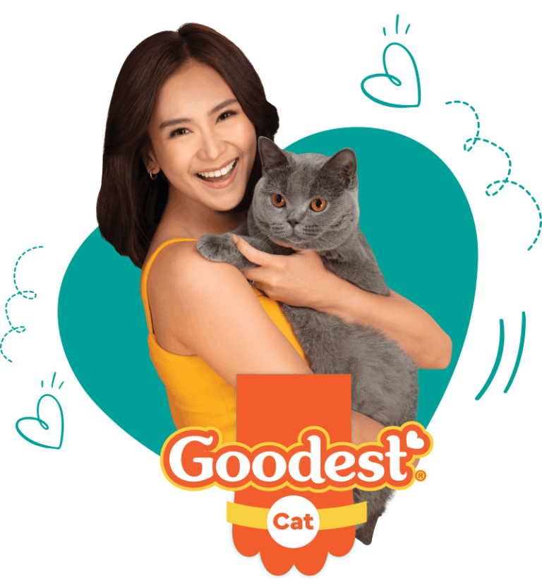 Goodest | Nutritious, Affordable Pet Food for Cats and Dogs