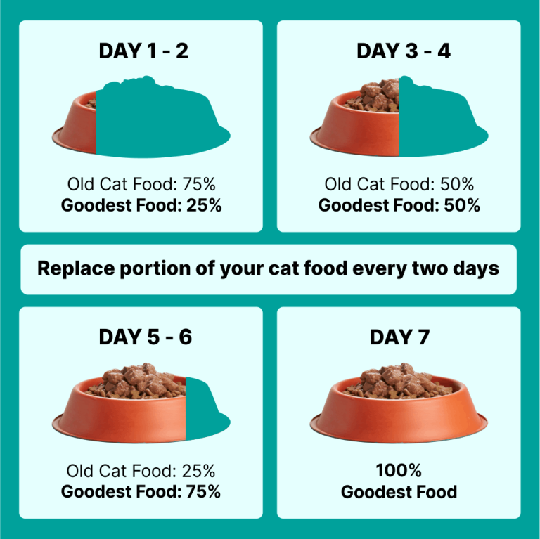 Goodest Cat Food | Vet-Approved Wet & Dry Cat Food in the Philippines
